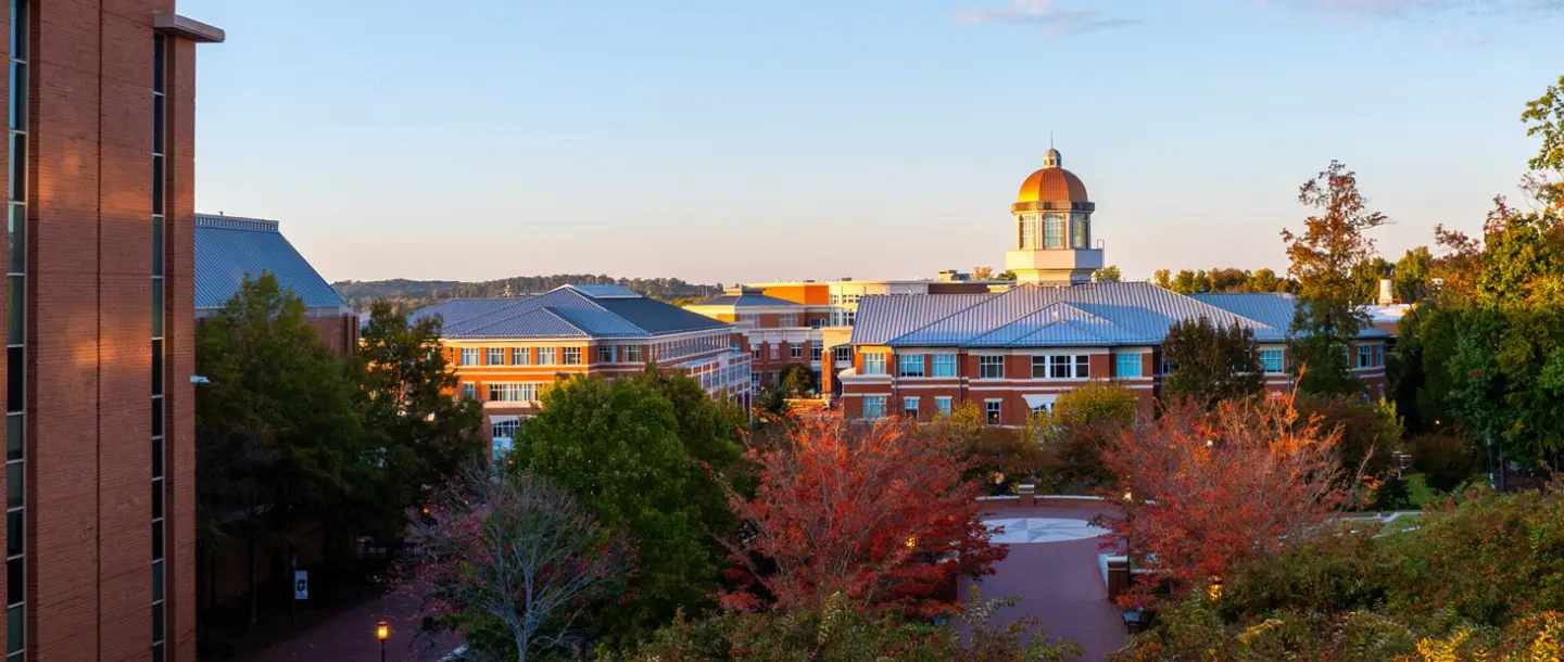 Make a Gift - Levine Scholars Program